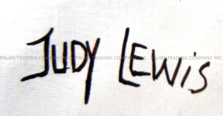 Acoma Judy Lewis Small Handmade and Hand Painted Polychrome Lizard Jar